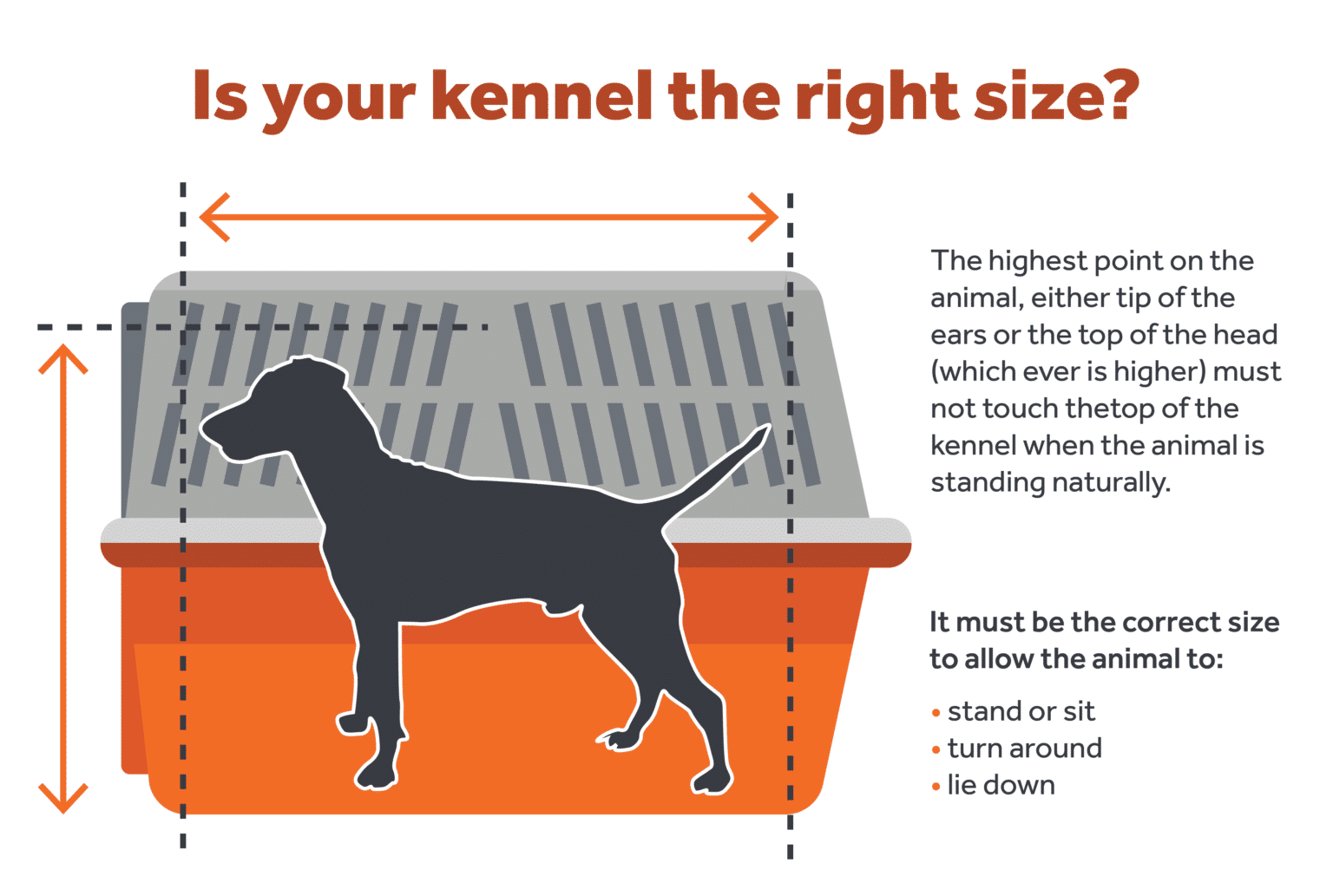 Live & Rescue Animals - Perimeter Aviation