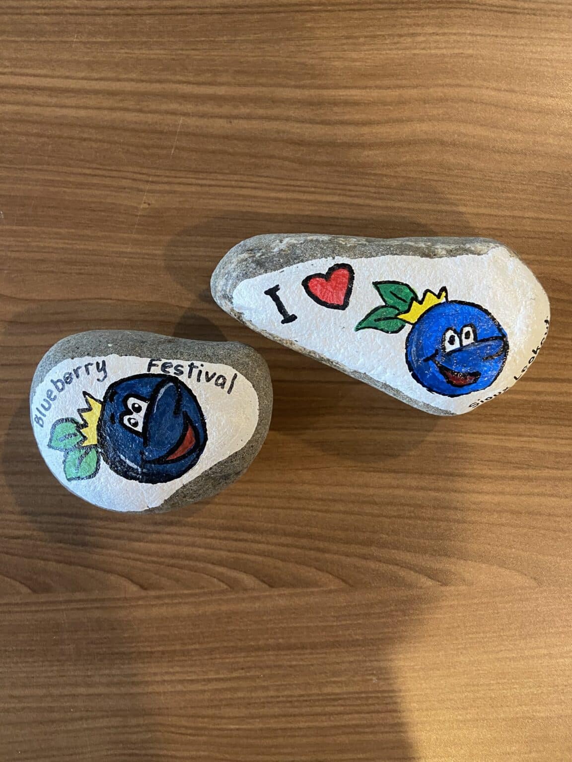 Destination Spotlight: 43rd Annual Sioux Lookout Blueberry Festival ...